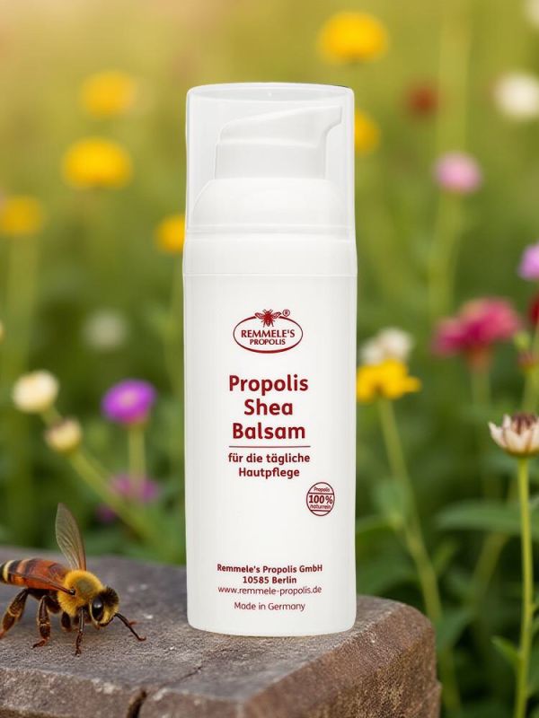 REMMELE's PROPOLIS Shea Balsam 50ml - Natürliche Pflege für Haut ...